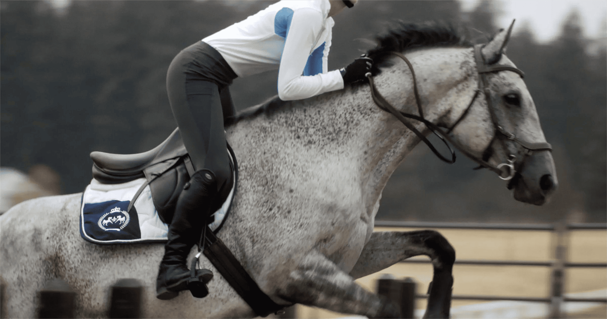 TuffRider Official Website - Premium Equestrian Apparel
